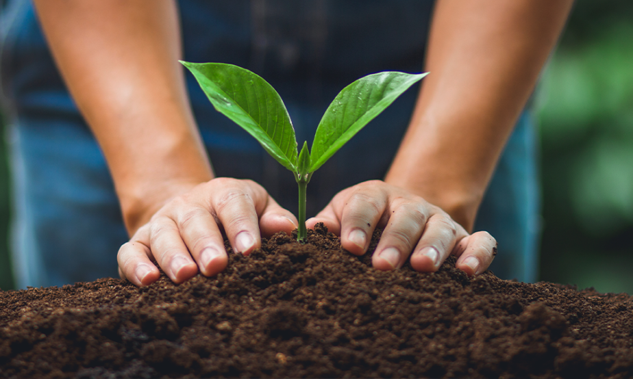 Cultivating The Jesus Kind of Love - Rhema